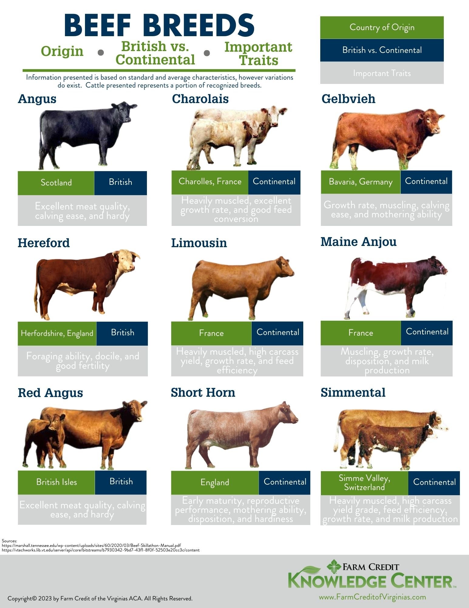 Cattle Breeds